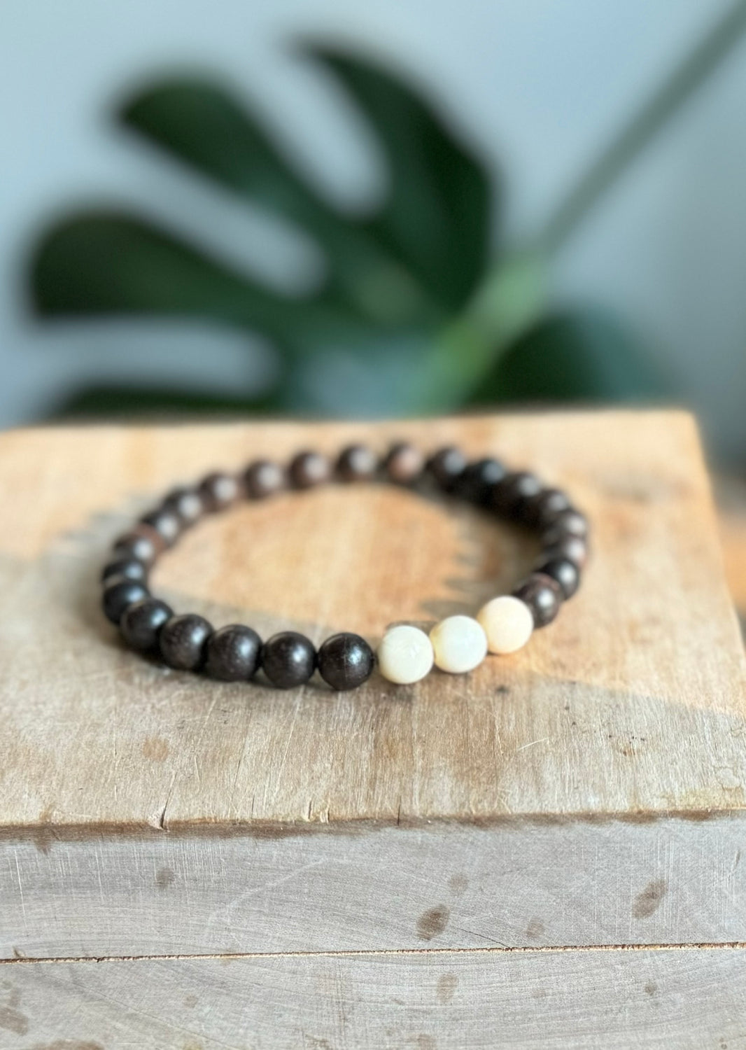 MEN – Ivory Jacks